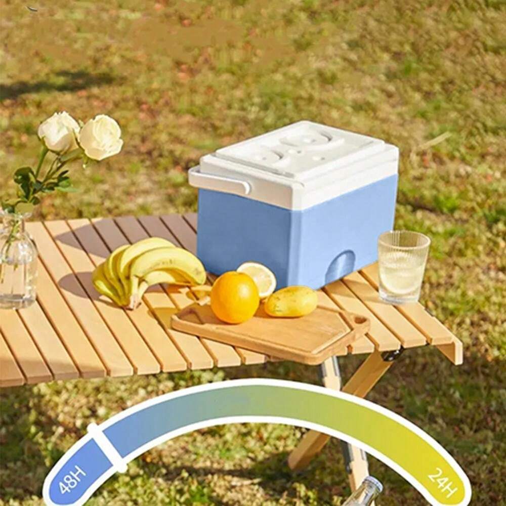 Mini 5L Outdoor Ice Cube Cooler Box, Camping Portable Insulated Box ...