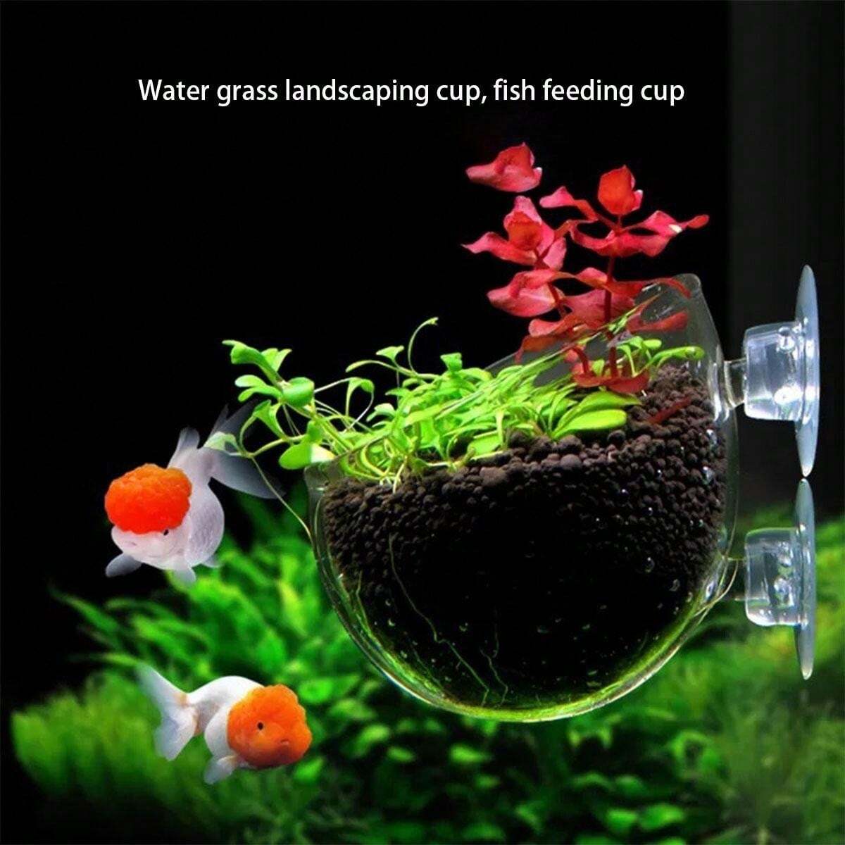 1pc Fish Food Feeder Cup, Bloodworm Cup, Infusoria Cup, Aquarium Decor ...