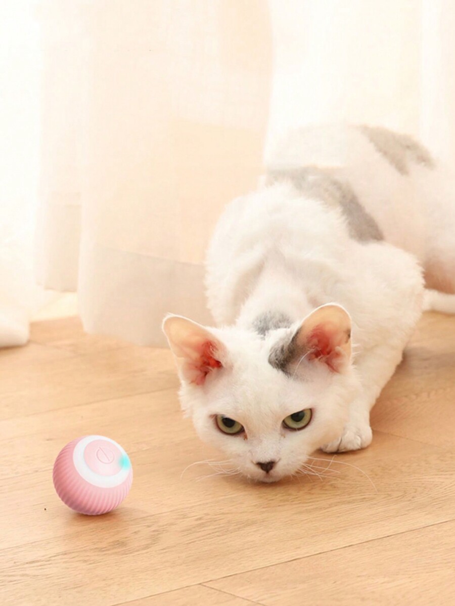1 Smart Cat Toy, Self Relieving And Teasing Cat Stick, Intelligent ...