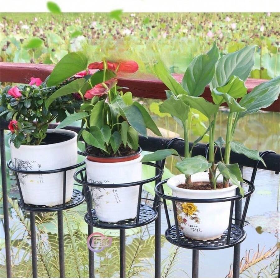 Family Balcony Flower Rack, Potted Plants, Indoor Balcony Chlorophytum ...