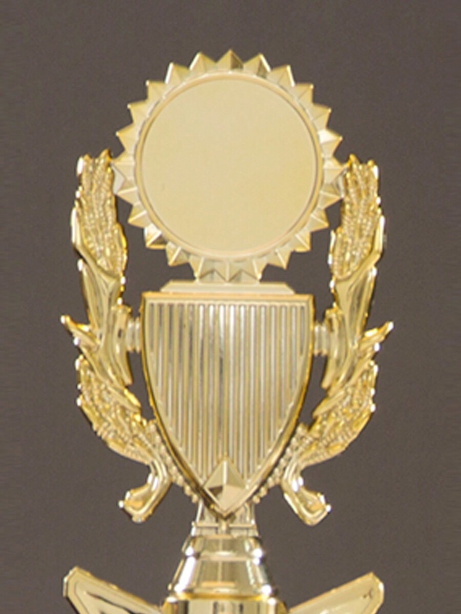 P&G 1pc 45cm-High Gerneric Round Circle Ball Blue ABS Plastic Rewarding ...