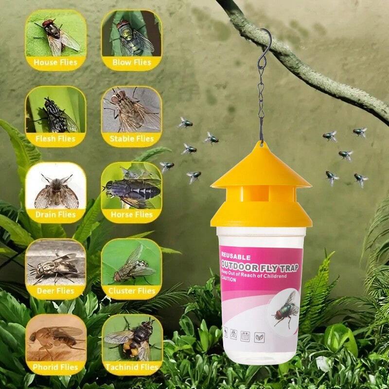 1 Fly Trap+2pcs Spare Cup, Fly Trap Bottle, Fruit Fly Trap, Fly Trap, Fly Trap Bottle, Mosquito ...