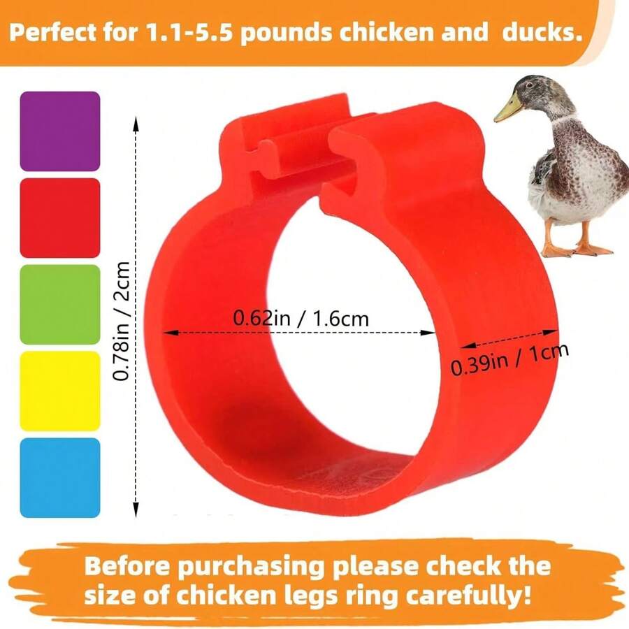 Multi-Color 100-Pack Poultry Digital Foot Ring Snap-On Chicken, Duck ...
