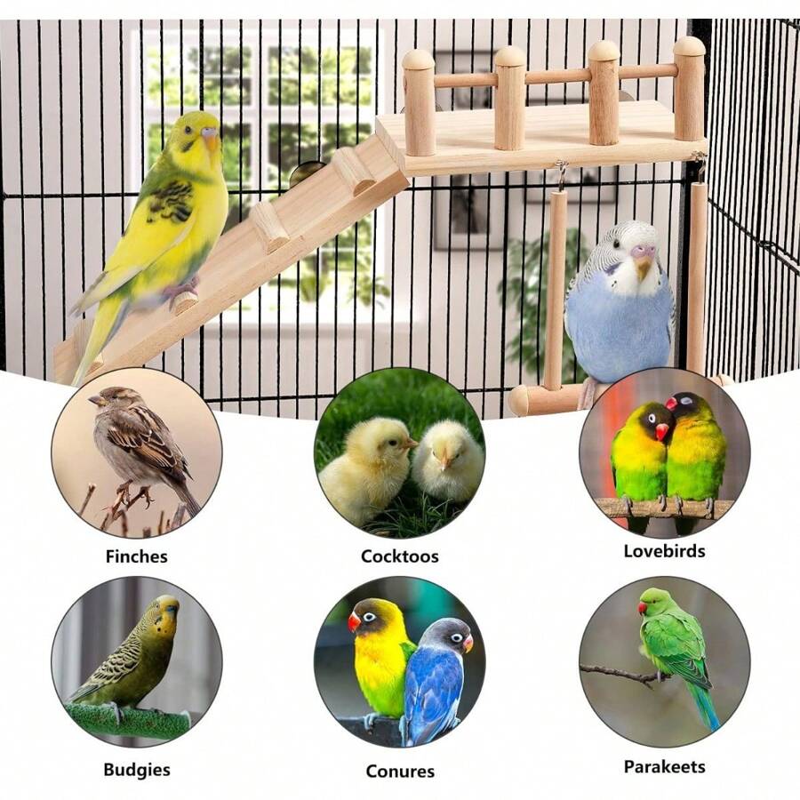 Bird Perches Platform Swing With Climbing Ladder, Parakeet Cage ...