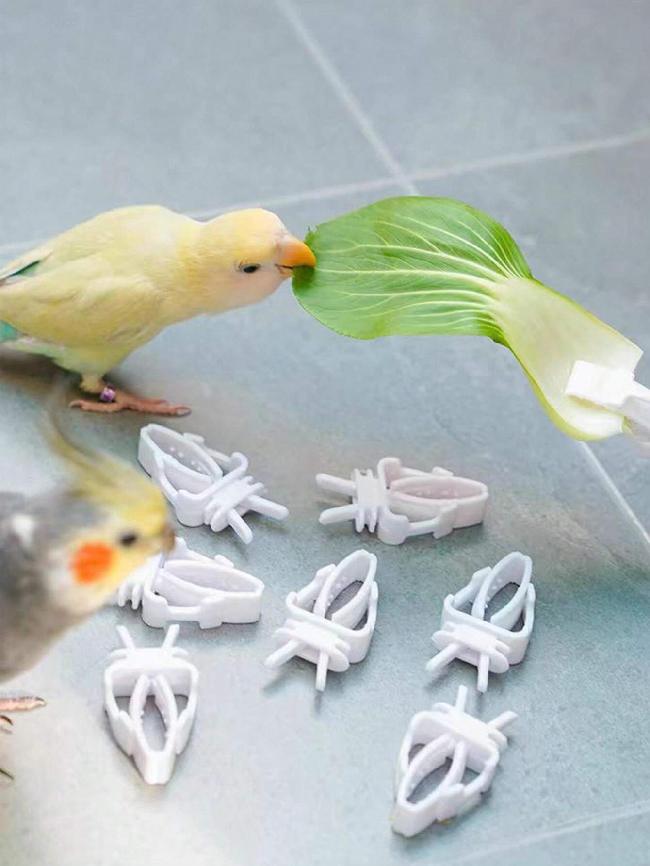 4pcs Plastic Bird Vegetable & Fruit Clips For Parrots, Songbirds And ...