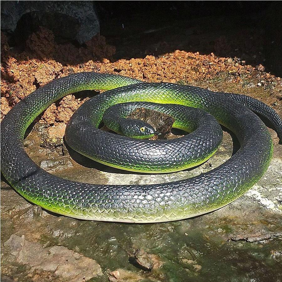2024 New Fake Realistic Simulation Super Long Green Snake / White Snake ...
