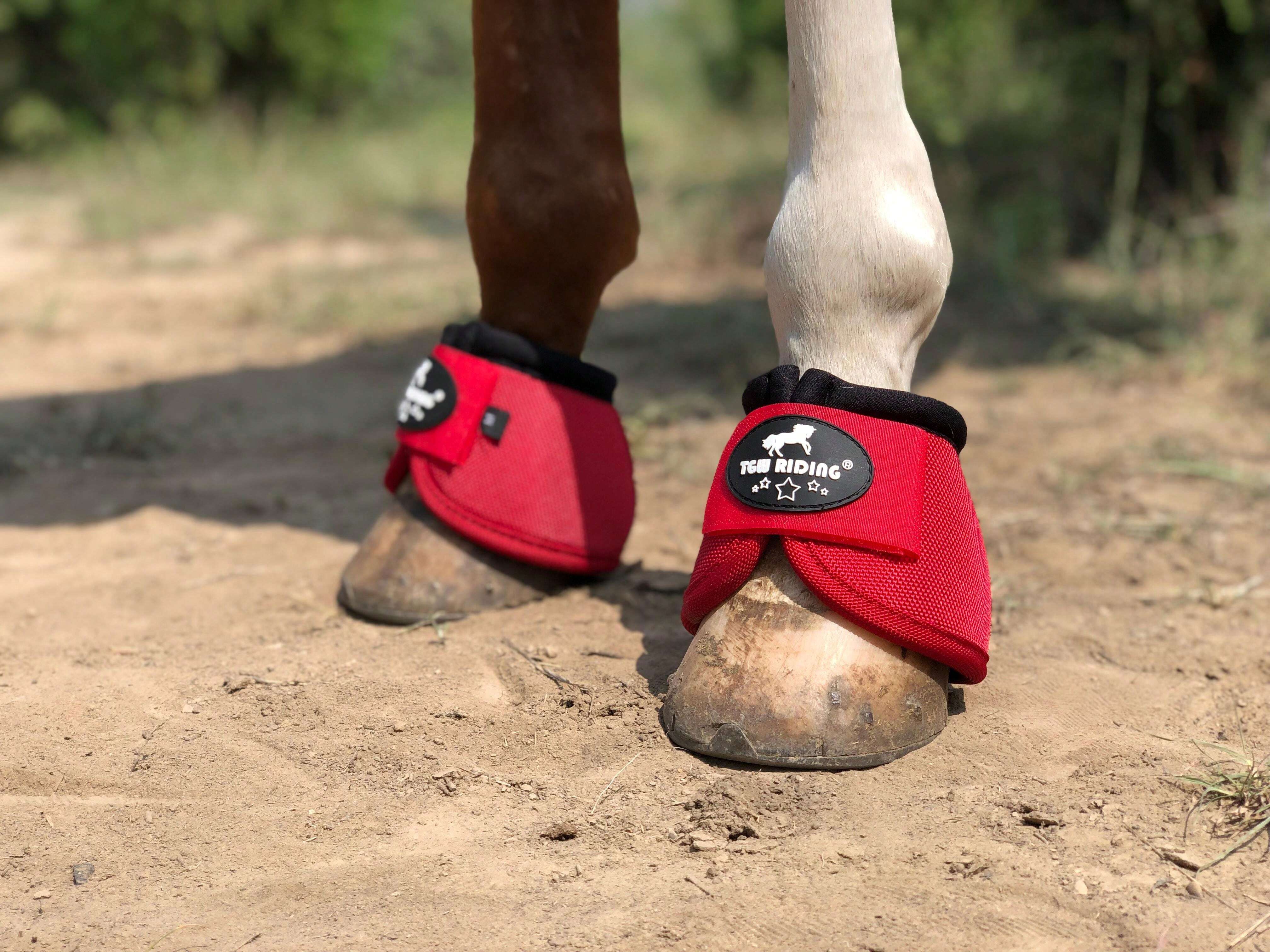 TGW RIDING 2520D Horse Bell Boots No-Turn Horse Bell Boots, Equine ...