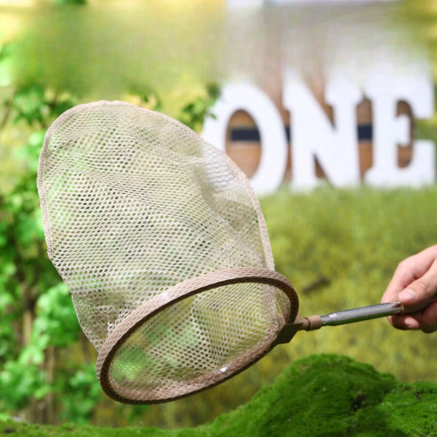Bug Catcher (1-Set) - Sturdy Bug Catching Kit Gifts With Bug Collector ...