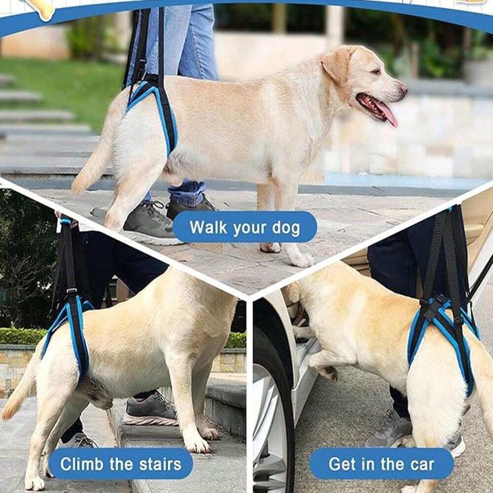 1pc Pet Dog Support Harness, Veterinary Hospital Dedicated Dog ...