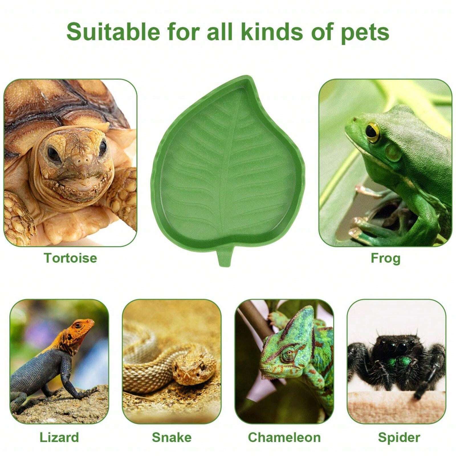 2pcs Leaf Shape Reptile Food Water Bowl Tray Set For Turtles, Corn ...