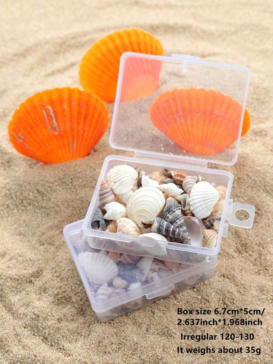 1pc Creative Natural Shell In Box, Including Small Conches And Screw ...