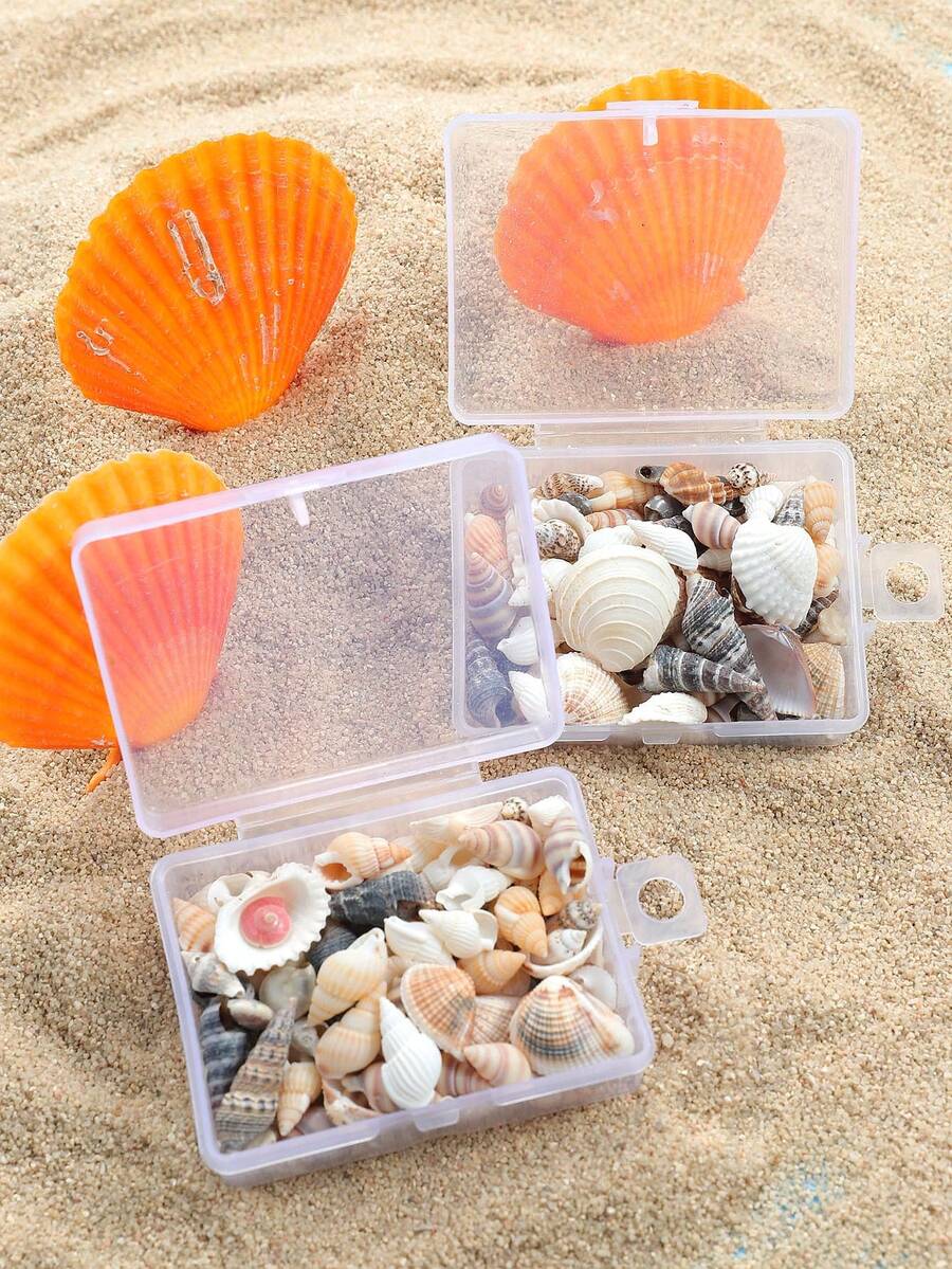 1pc Creative Natural Shell In Box, Including Small Conches And Screw ...