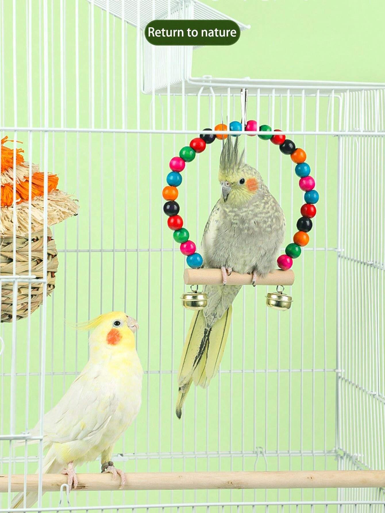 (2pcs )Colorful Swing +4-Level Ladder Parrot Toys Training Supplies ...
