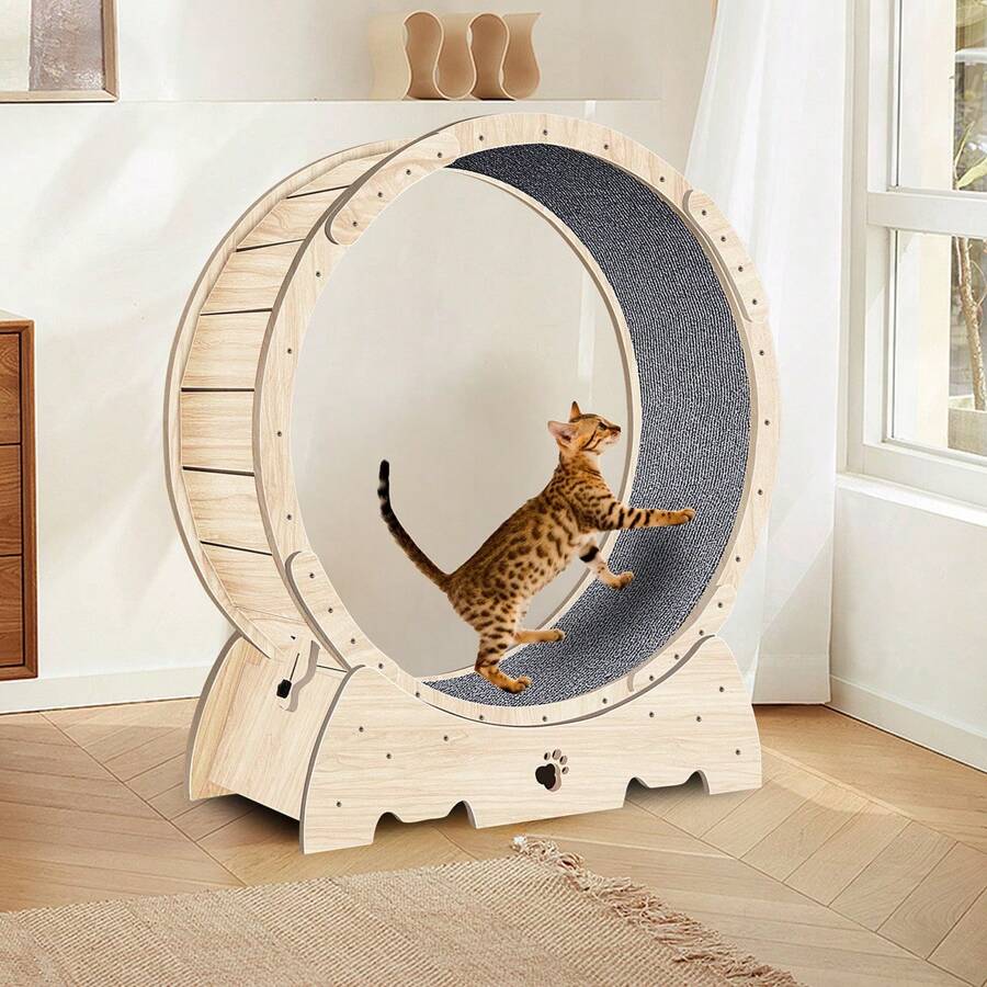 Cat Exercise Wheel For Indoor Cats, Cat Running Wheel With Carpeted ...