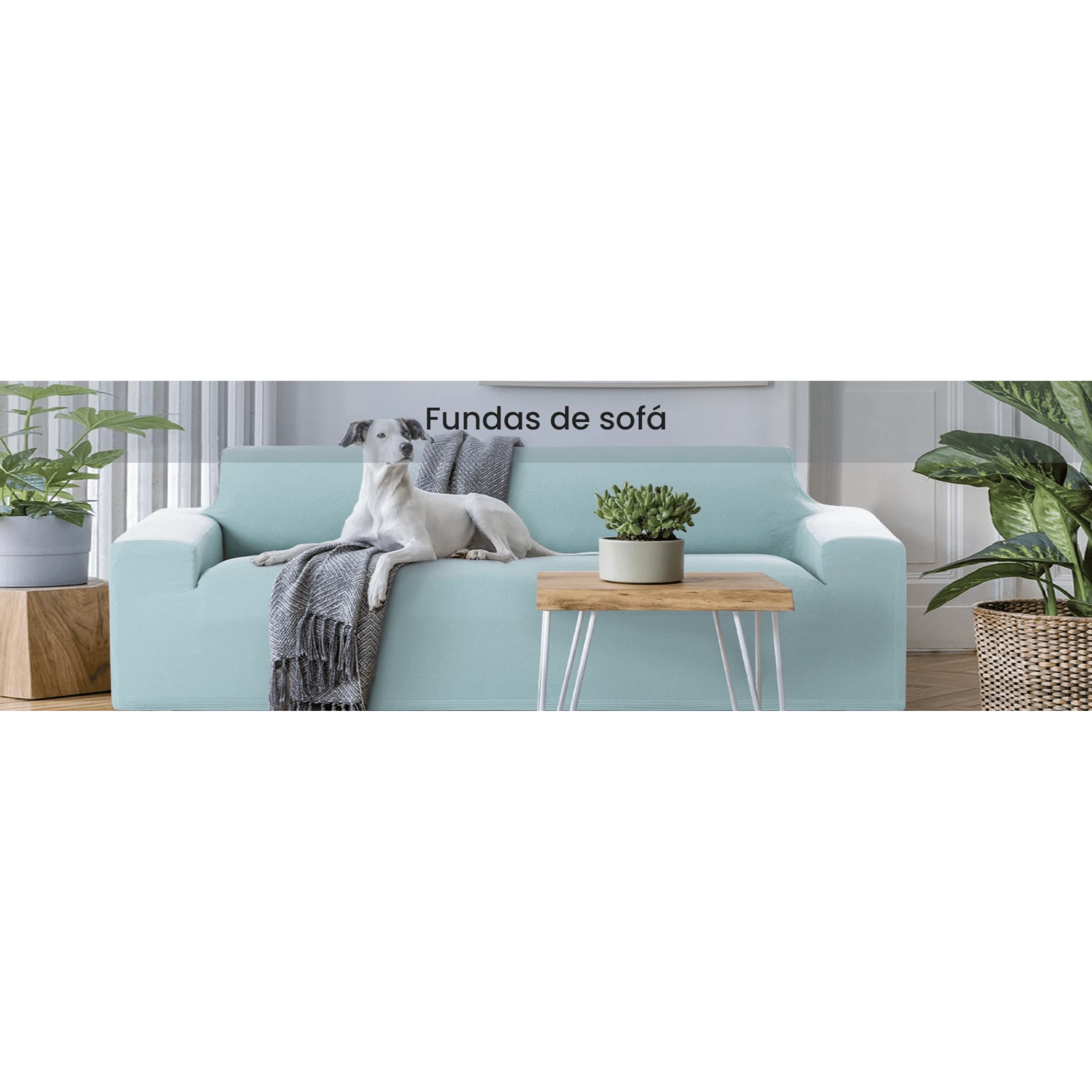 Eysa | Elastic 4 Seater Sofa Cover Jacquard Fabric Extra Soft Touch ...