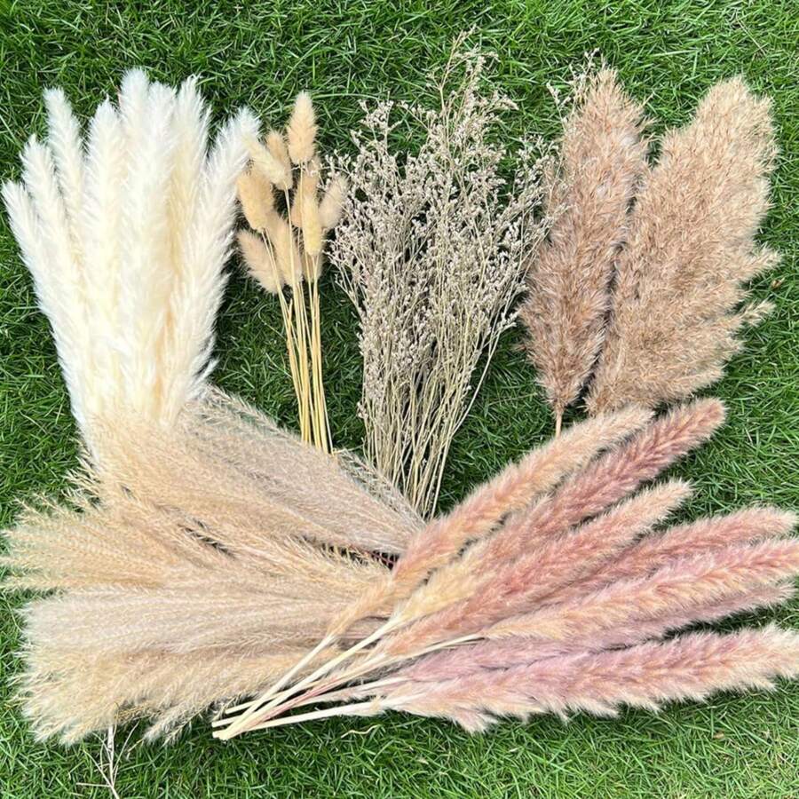 100 piezas Decoración del hogar estilo bohemio con flores secas de ...