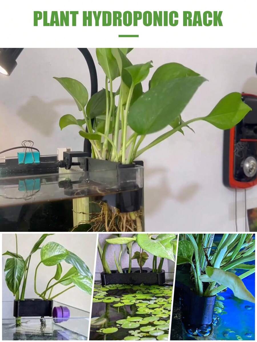 Aquarium Border Storage Rack Hydroponic Display Rack | SHEIN USA