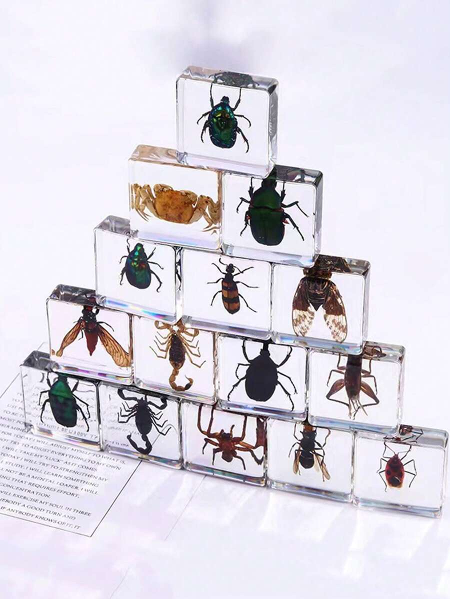 Creative And Unique Real Insect Specimen Resin Transparent Crystal Glue ...