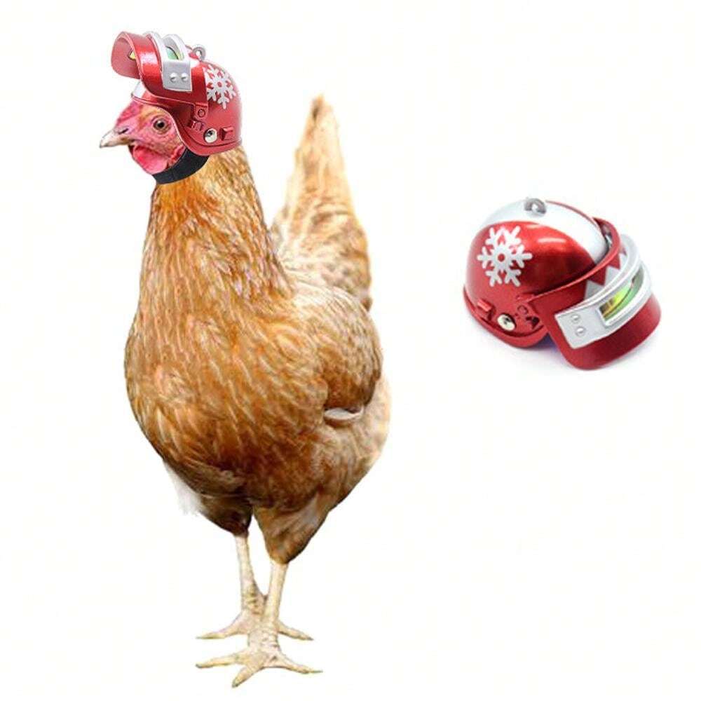 Pet Safety Helmet Bird Hat, Poultry Hat Chicken Fun Hat, Pet Helmet ...