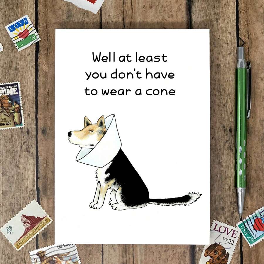 2 Sets Humorous Greeting Cards With Envelopes, Funny Text Cards ...