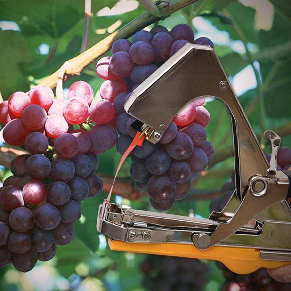 Gardening Tool For Tomato And Cucumber Plant Tying, Fruit & Vegetable ...