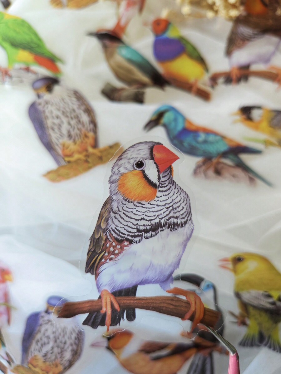 1 Pack (30pcs) Cute Animal Bird Decoration PET Stickers For DIY Collage ...