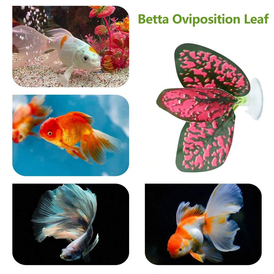 3PCS Betta Bed Leaf Betta Fish Rest Leaf Artificial Betta Leaf Pad ...