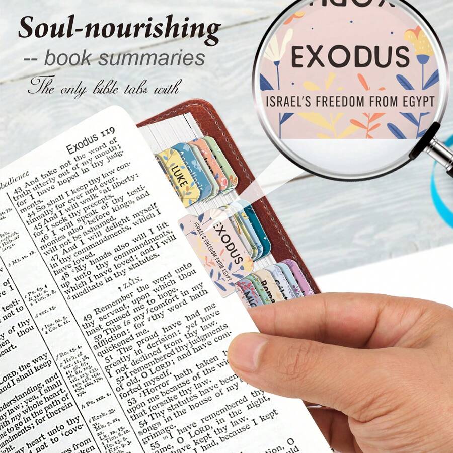75pcs Bible Tabs Pastel Bloom - Soul Nourishing Book Summaries - 66 ...