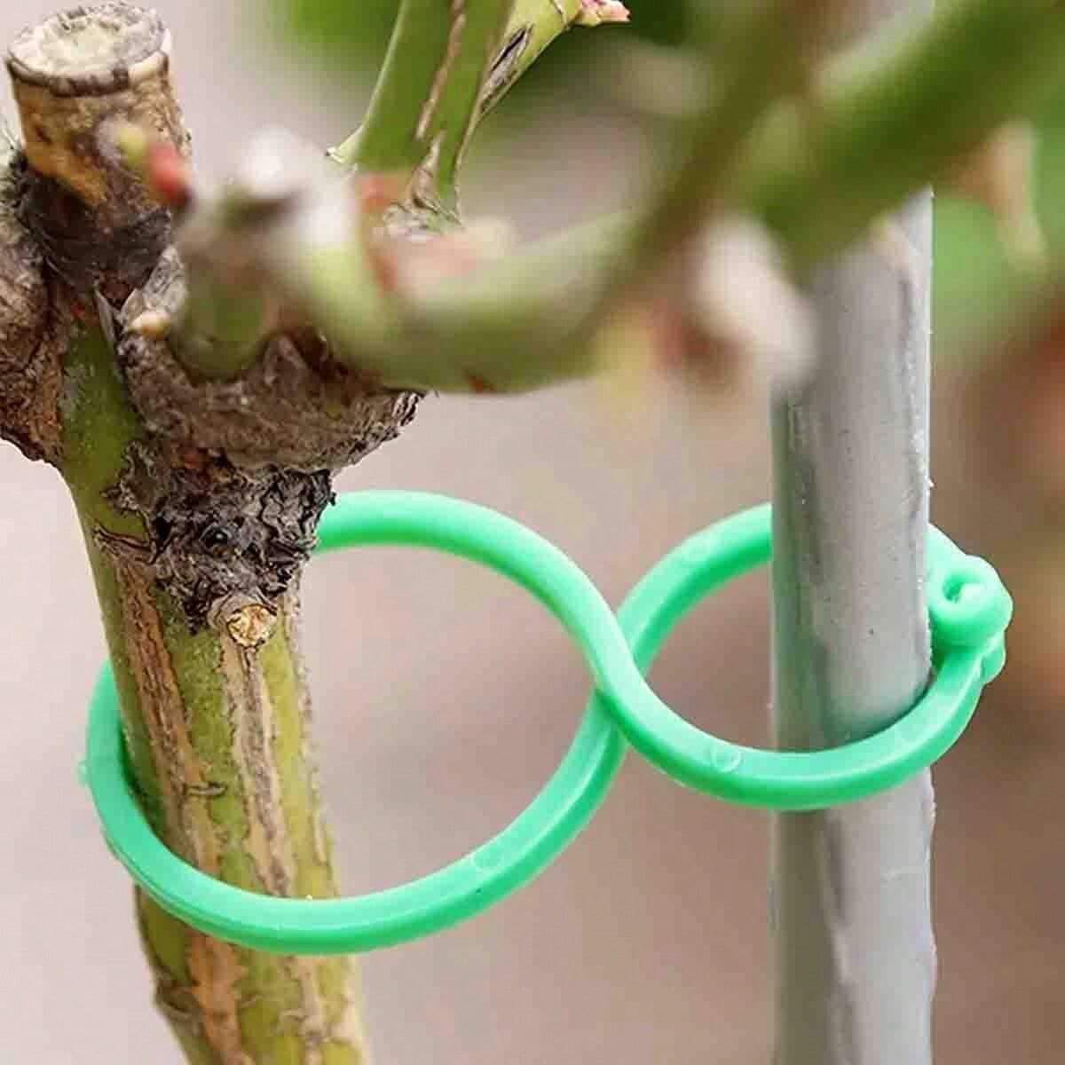 Garden Plant Fasteners Enhance The Beauty Of Your Garden With Vine And ...