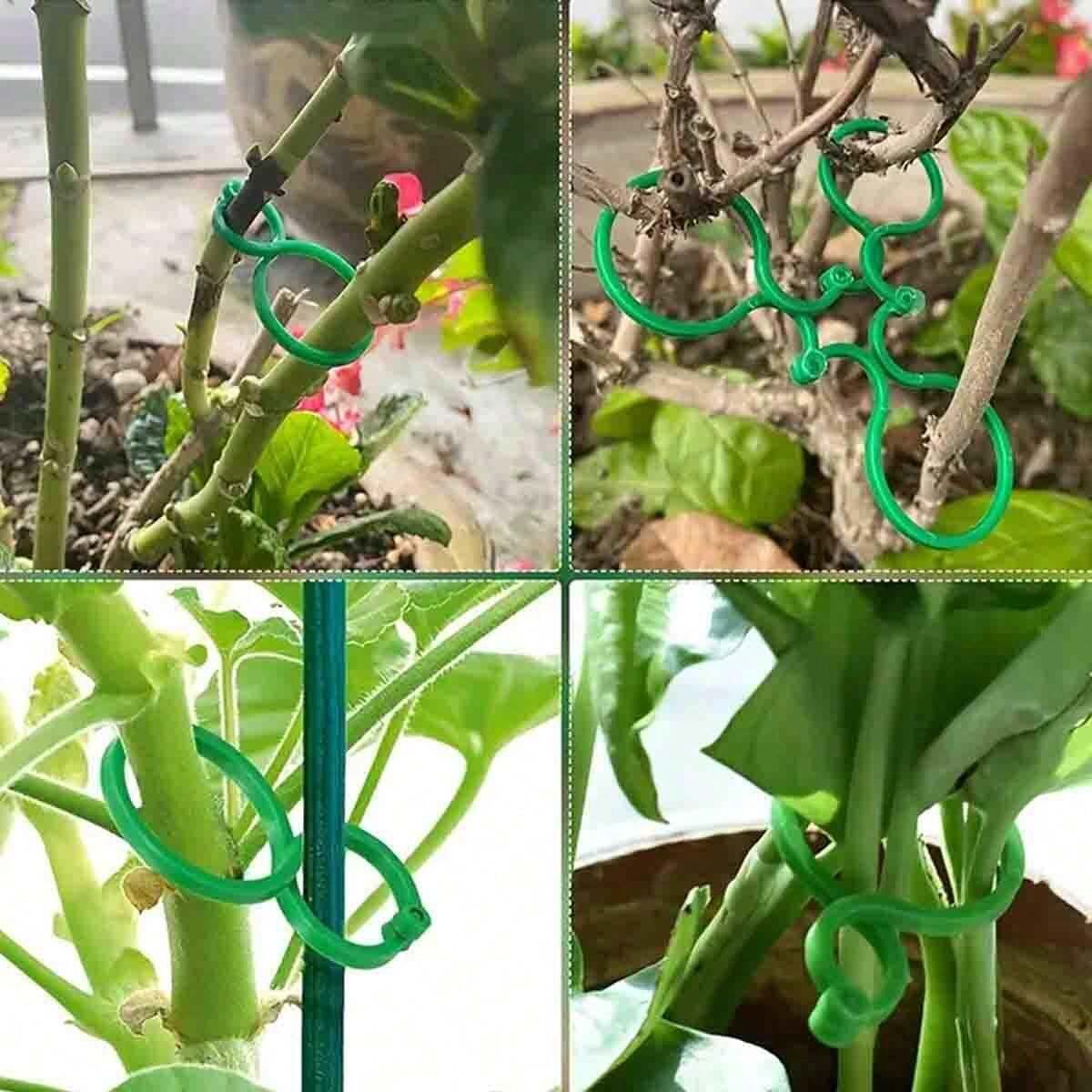 Garden Plant Fasteners Enhance The Beauty Of Your Garden With Vine And ...