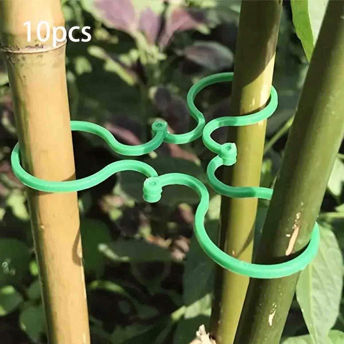 Garden Plant Fasteners Enhance The Beauty Of Your Garden With Vine And ...