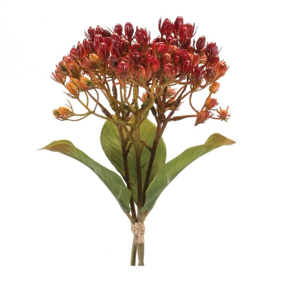 Harvest Berry Bundle (Set Of 12) | SHEIN USA