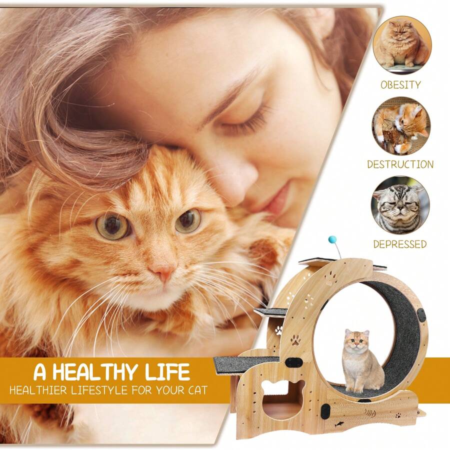 Cat Wheel 4-In-1 Cat Exercise Wheel,Large Cat Treadmill,Cat Running ...