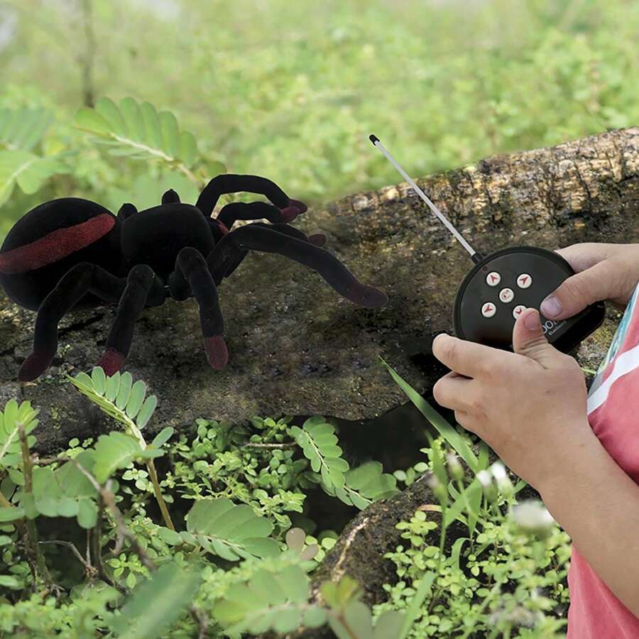 Lexibook Realistic RC Tarantula With Light Effects for Sale Australia ...