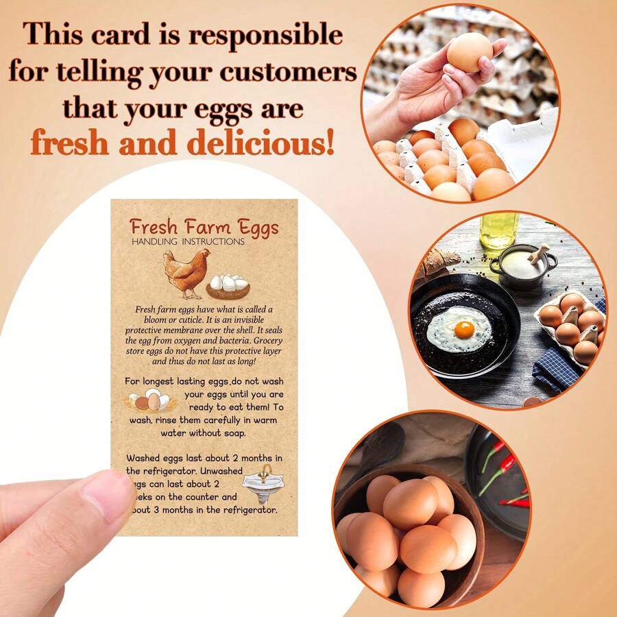 50 Fresh Farm Eggs With Instructions On Handling, Egg Collection Date ...