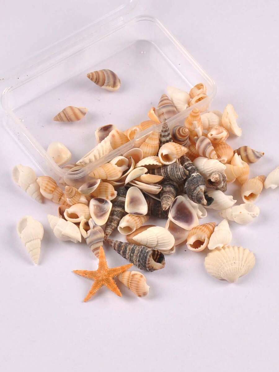 1 Box Of 0.5-2cm Mixed Natural Small Seashells, Starfishes Without ...