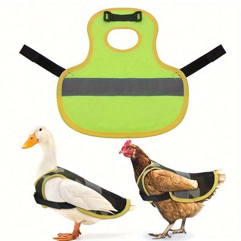 Pet Clothing For Chickens - Reflective Vest And Apron For Chickens ...