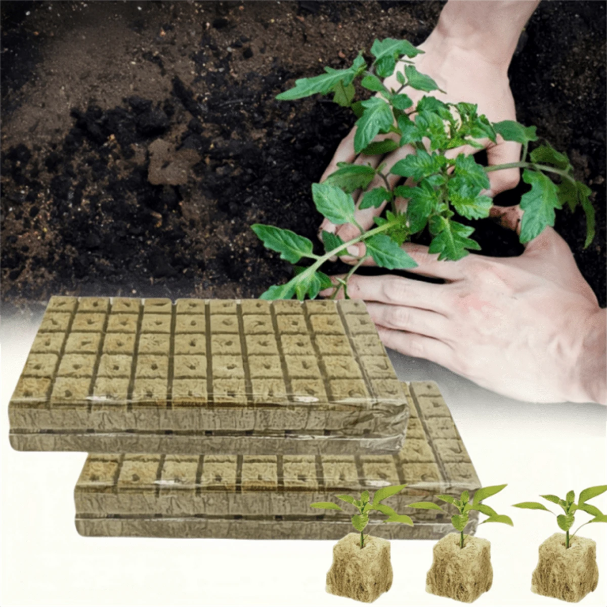 1 Piece/200 Hole Mini Compression Foundation Practical Rock Wool ...