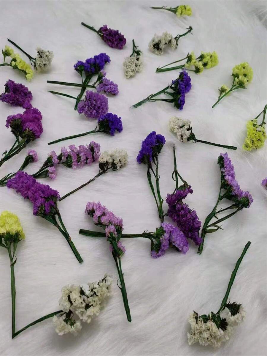 1 Box Forget-Me-Not Dried Flower Heads Fragmented Flower Buds Handmade ...