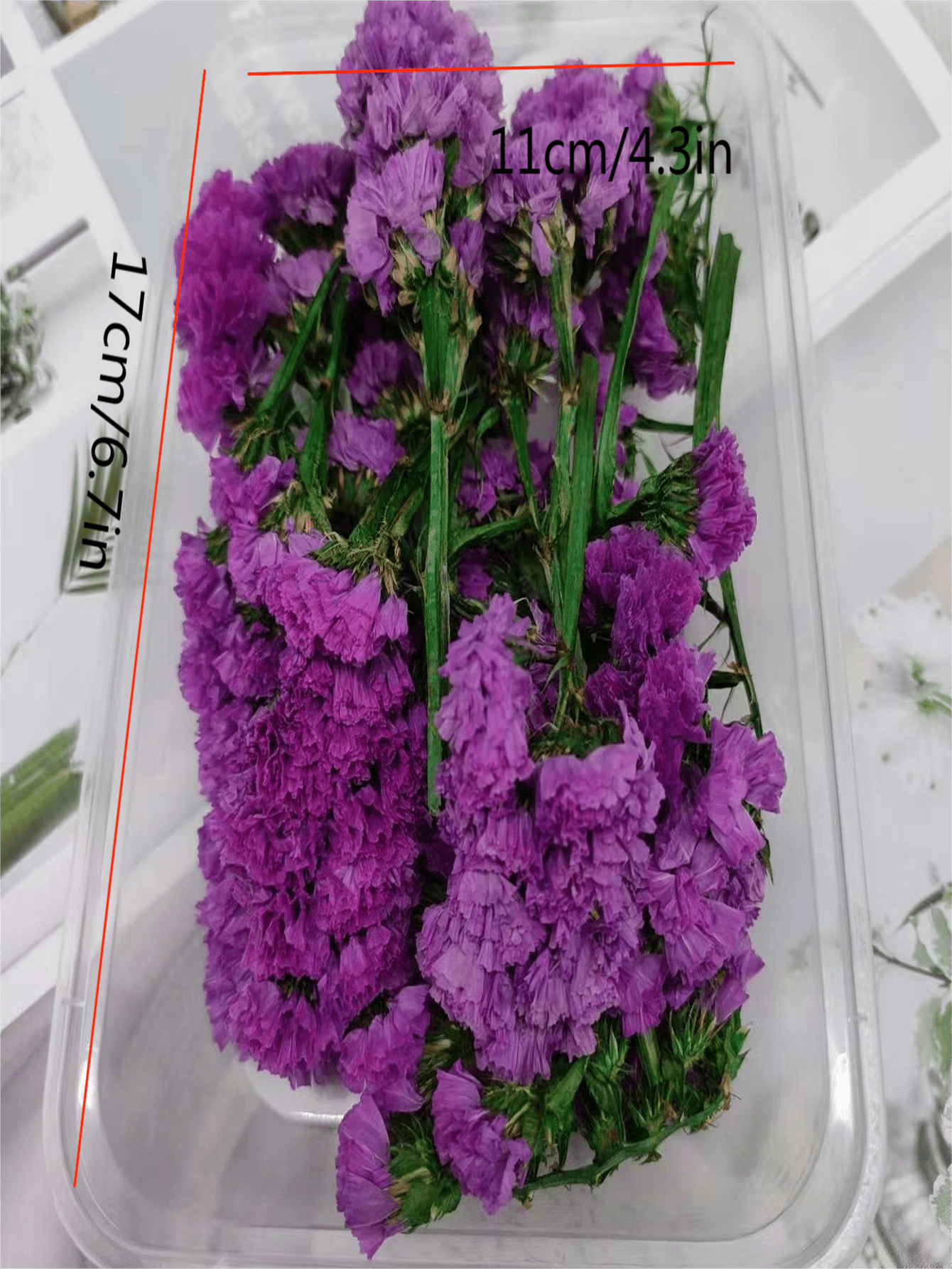 1 Box Forget-Me-Not Dried Flower Heads Fragmented Flower Buds Handmade ...