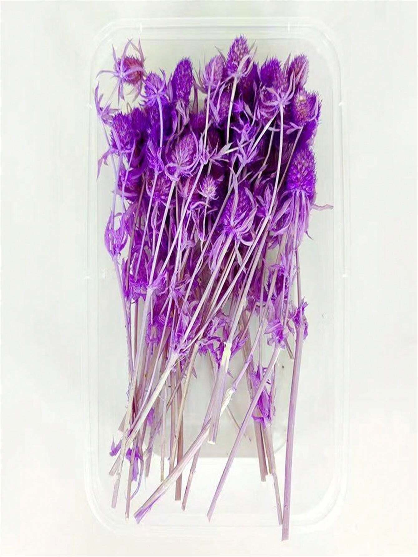 Eternal Flower Short Celery & Mini Pineapple DIY Dried Flower ...