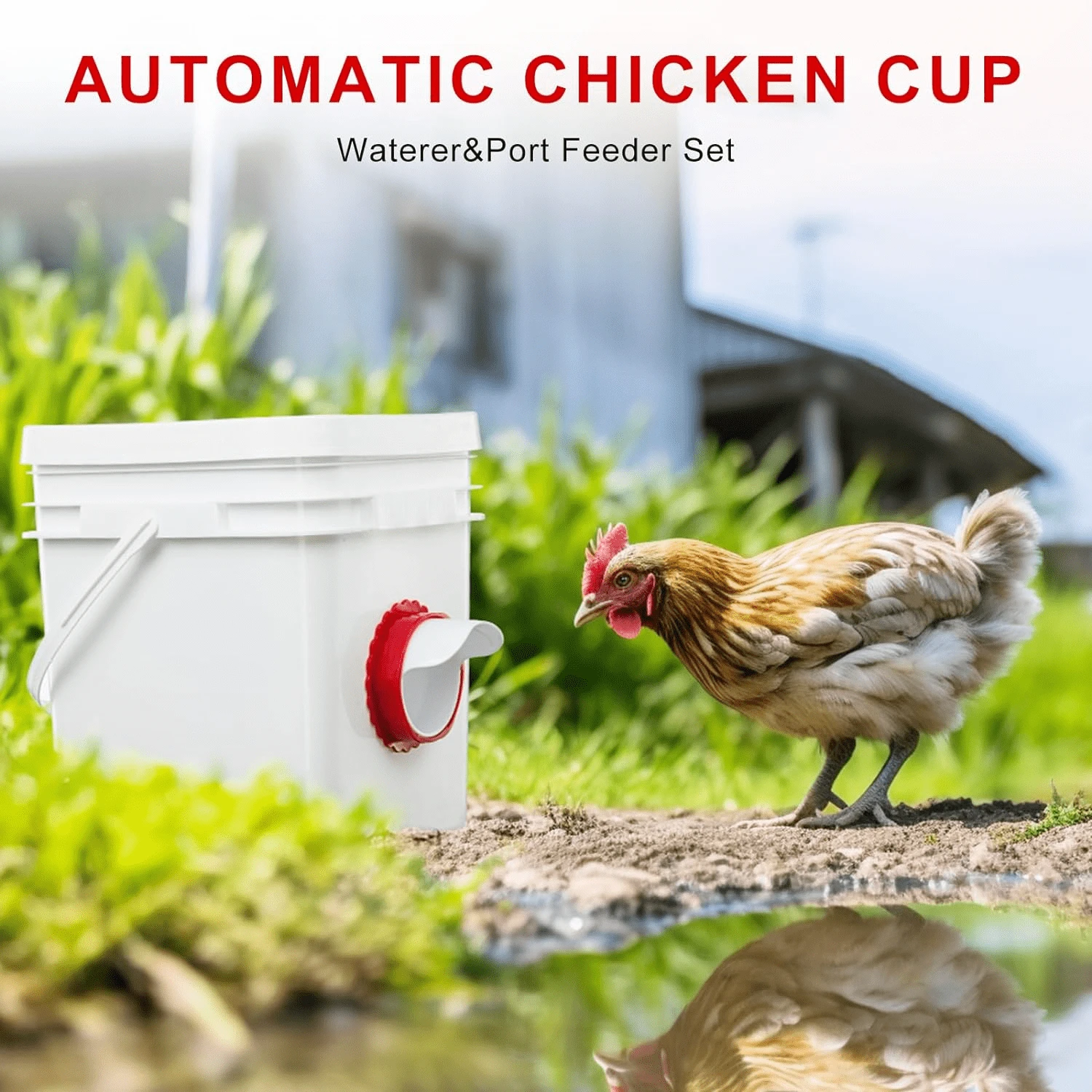 IFurffy Chicken Feeder Set, Automatic 6pcs Chicken Feeders For Chicken ...