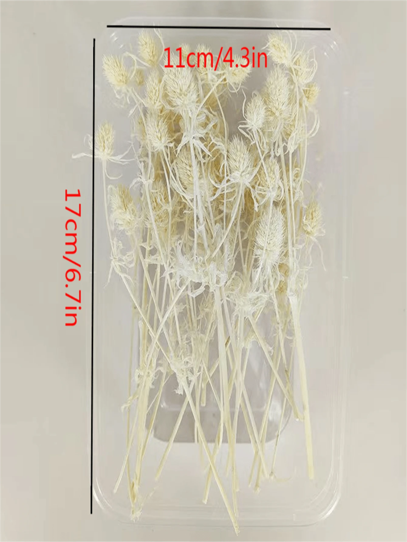 Eternal Flower Short Celery & Mini Pineapple DIY Dried Flower ...
