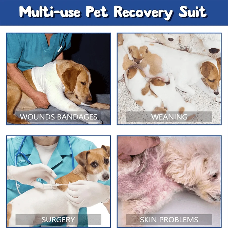 Dog Recovery Suit Abdominal Wound Surgical Clothes Dogs Anti-Licking ...