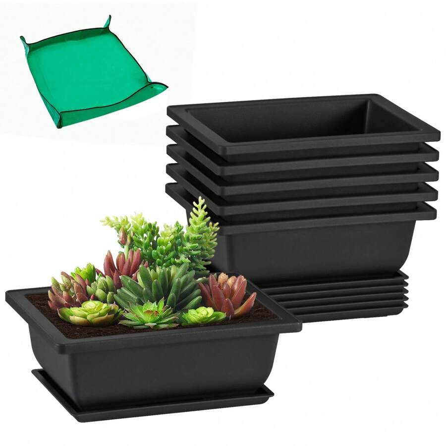 Bonsai Training Pots With Drainage Humidity Trays, Bonsai Tree Pots ...