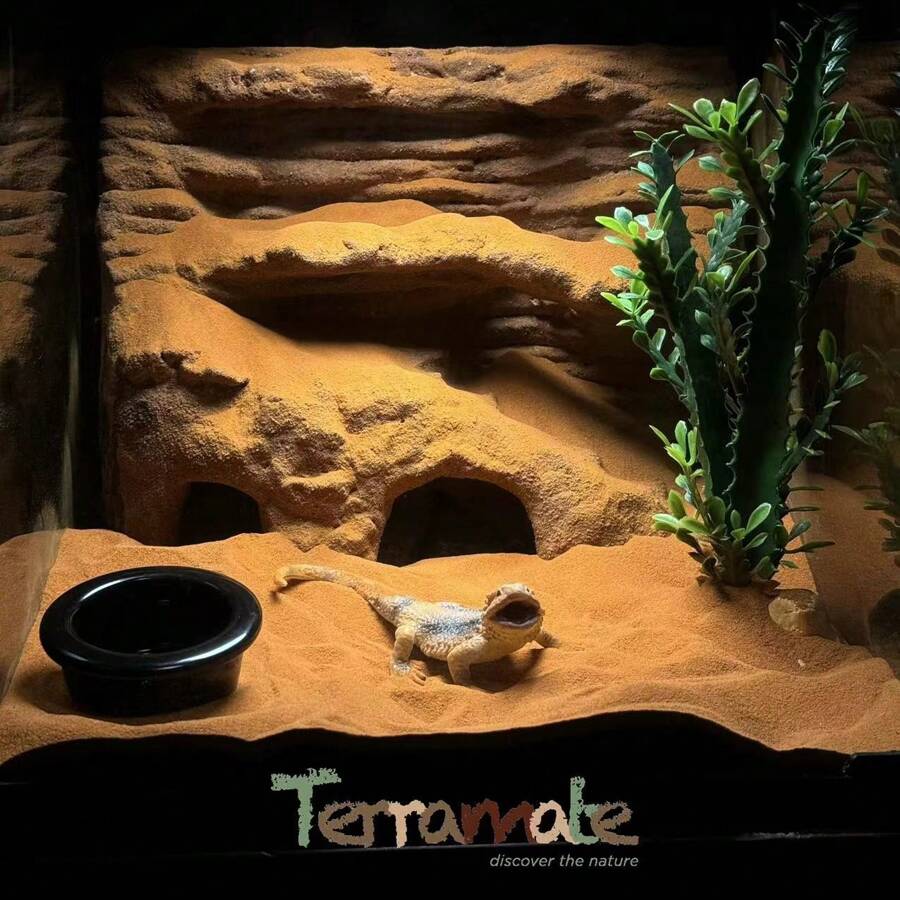 Ceramic Food & Water Bowls For Reptiles, Lizards, Geckos, Snakes | SHEIN UK