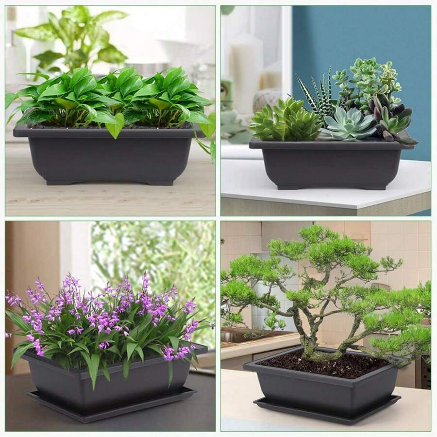 Bonsai Training Pots With Drainage Humidity Trays, Bonsai Tree Pots ...