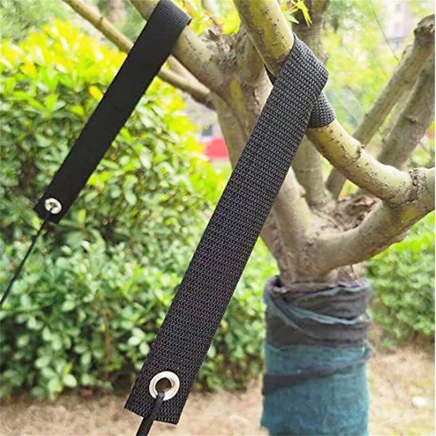 Sangle d'arbre pare-vent avec attaches de fixation de jeunes plants de ...