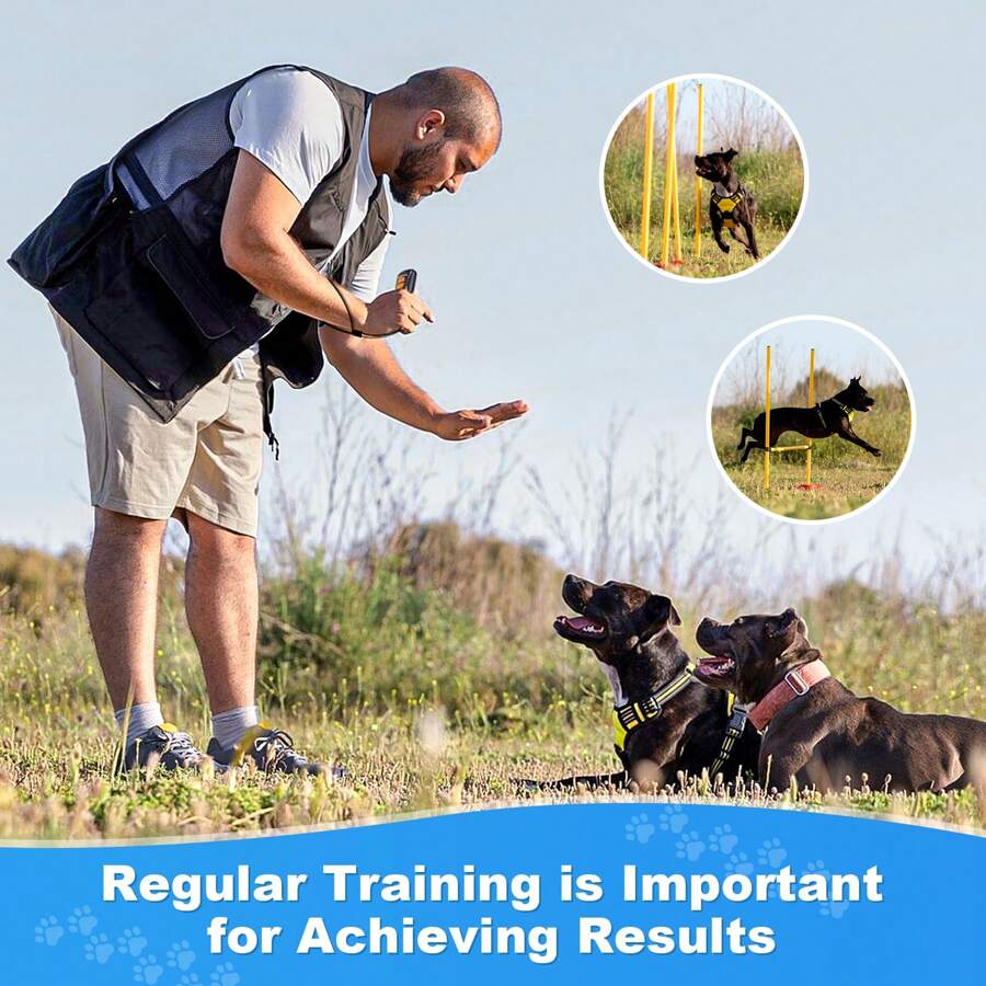 Dog Bark Deterrent Devices, Rechargeable Ultrasonic Anti Barking Device ...