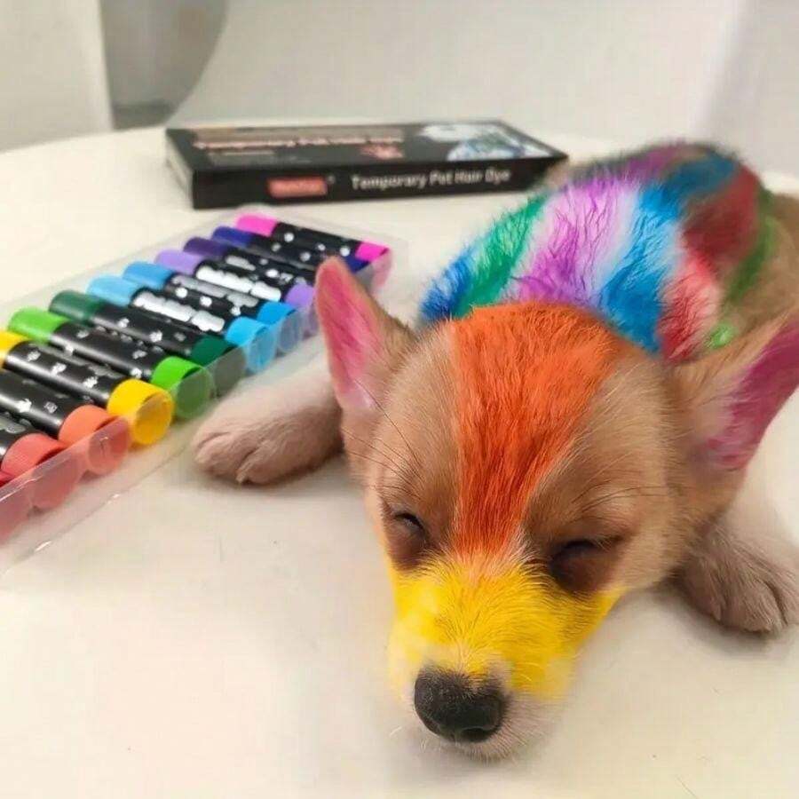 12 Colors Temporary Dog Hair Dye Paint Marker, Safe Pet Fur Coloring ...